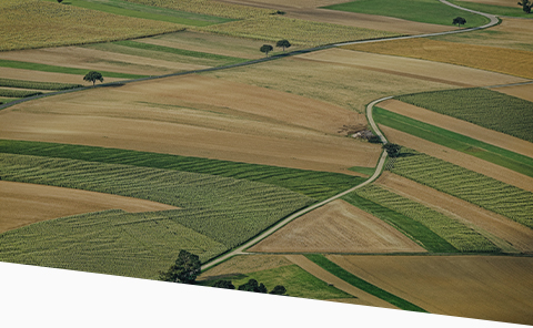 About us | Sembodja.bg