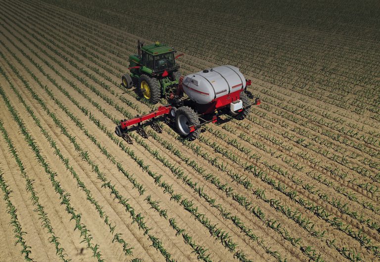 Сембодиа ООД - Торове и Семена | Sembodja.bg