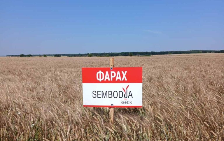 Сембодиа ООД - Торове и Семена | Sembodja.bg